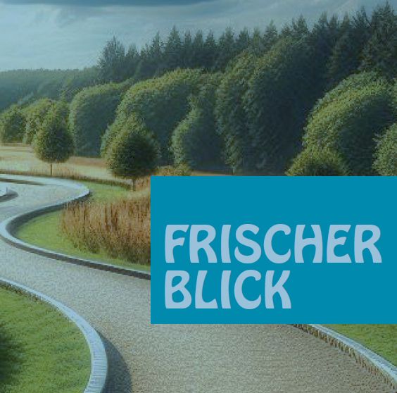 Frischer Blick - RE/init e.V.